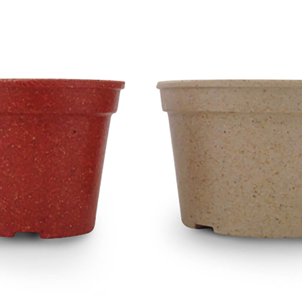 Kit de plantation personnalisé et biodégradable