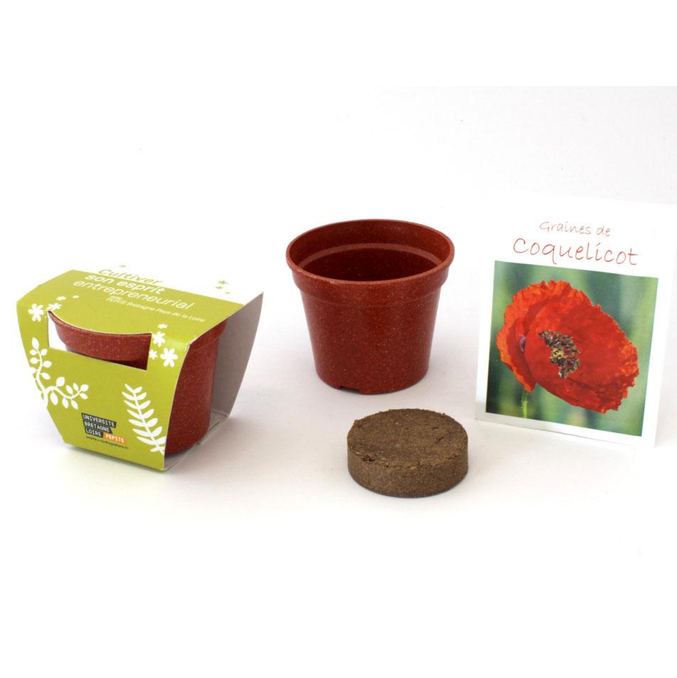 Kit de plantation personnalisé et biodégradable