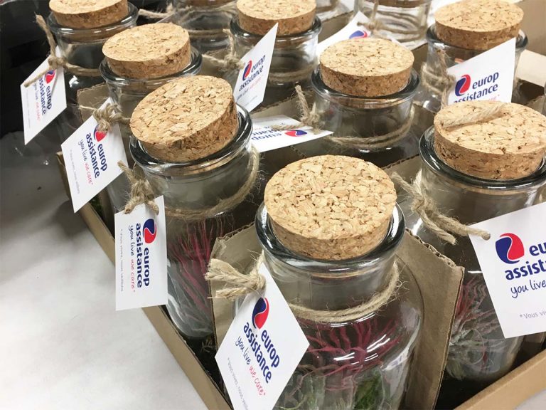 Définition goodies : tout ce qu'il faut savoir sur l'objet pub